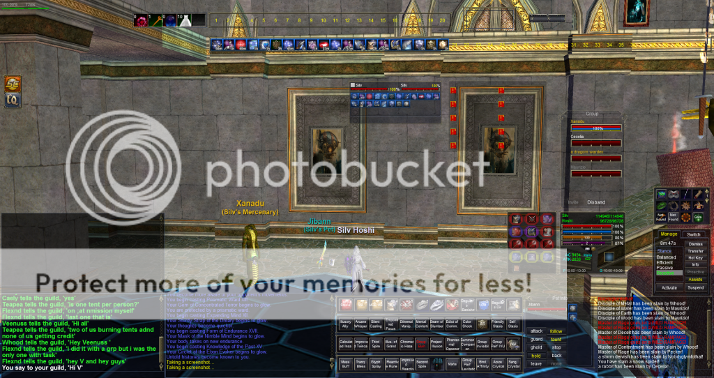 Chanter/caster UI and window layout? | EverQuest Forums