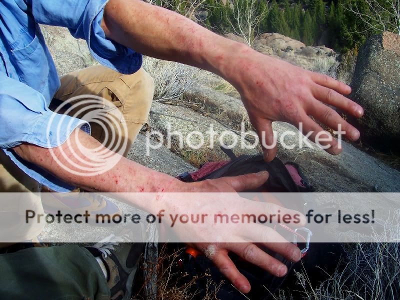 Spring in the Batholith (Mini Montana Photo TR) | Trip Report