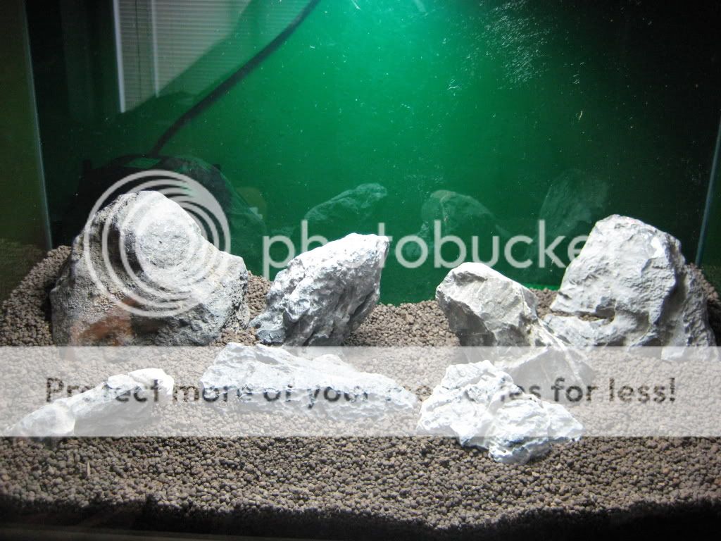 MARIMOBALL'S ADA 60P JOURNAL RESCAPE (The River Bend) | The Planted ...