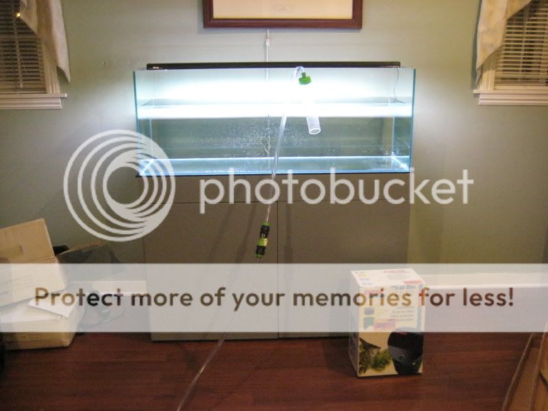 Marimoball's Ada 120p | Aquatic Plant Forum