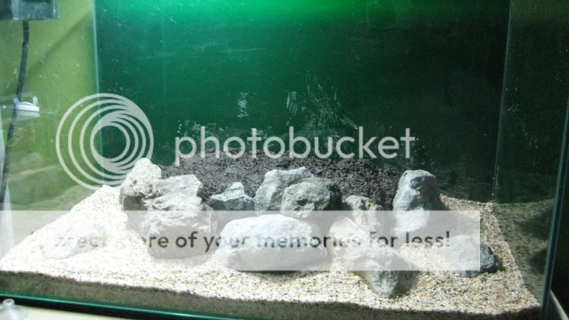 MARIMOBALL'S ADA 60P JOURNAL RESCAPE (The River Bend) | Page 3 | The ...