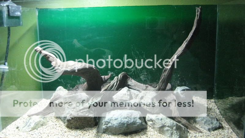 MARIMOBALL'S ADA 60P JOURNAL RESCAPE (The River Bend) | Page 3 | The ...