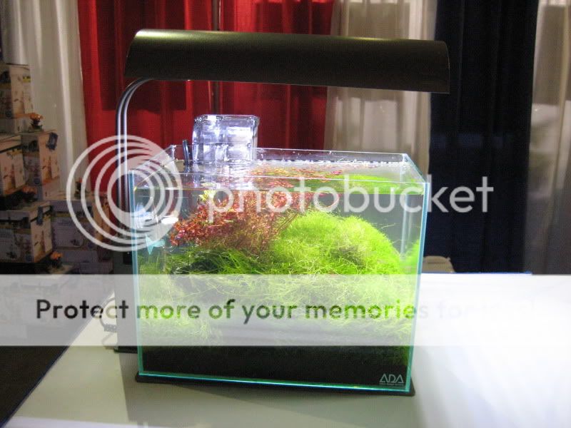 Marimo's ADA Mini S (LED) | Page 3 | The Planted Tank Forum