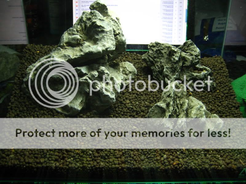 Marimo's ADA Mini S (LED) | The Planted Tank Forum