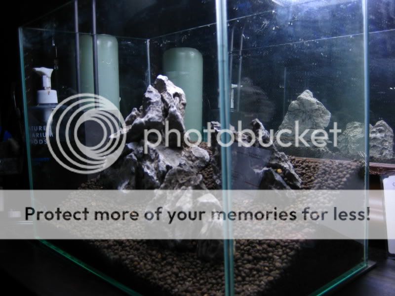 Marimo's ADA Mini S (LED) | The Planted Tank Forum