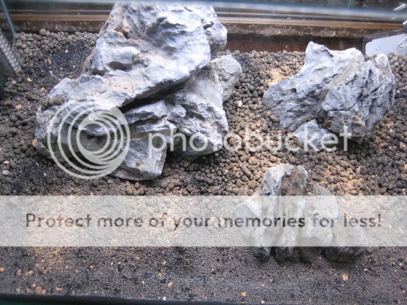 Marimo's ADA Mini S (LED) | The Planted Tank Forum