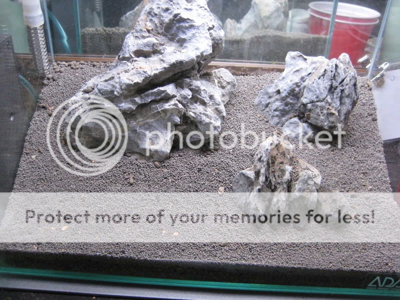 Marimo's ADA Mini S (LED) | The Planted Tank Forum