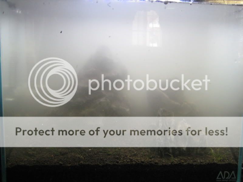 Marimo's ADA Mini S (LED) | The Planted Tank Forum