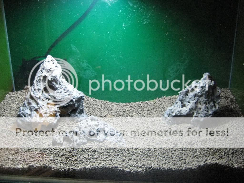 MARIMOBALL'S ADA 60P JOURNAL RESCAPE (The River Bend) | The Planted ...