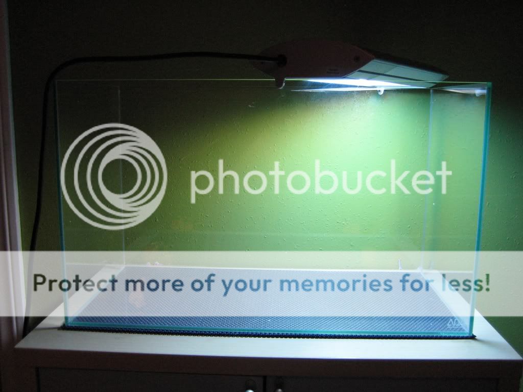 MARIMOBALL'S ADA 60P JOURNAL RESCAPE (The River Bend) | The Planted ...